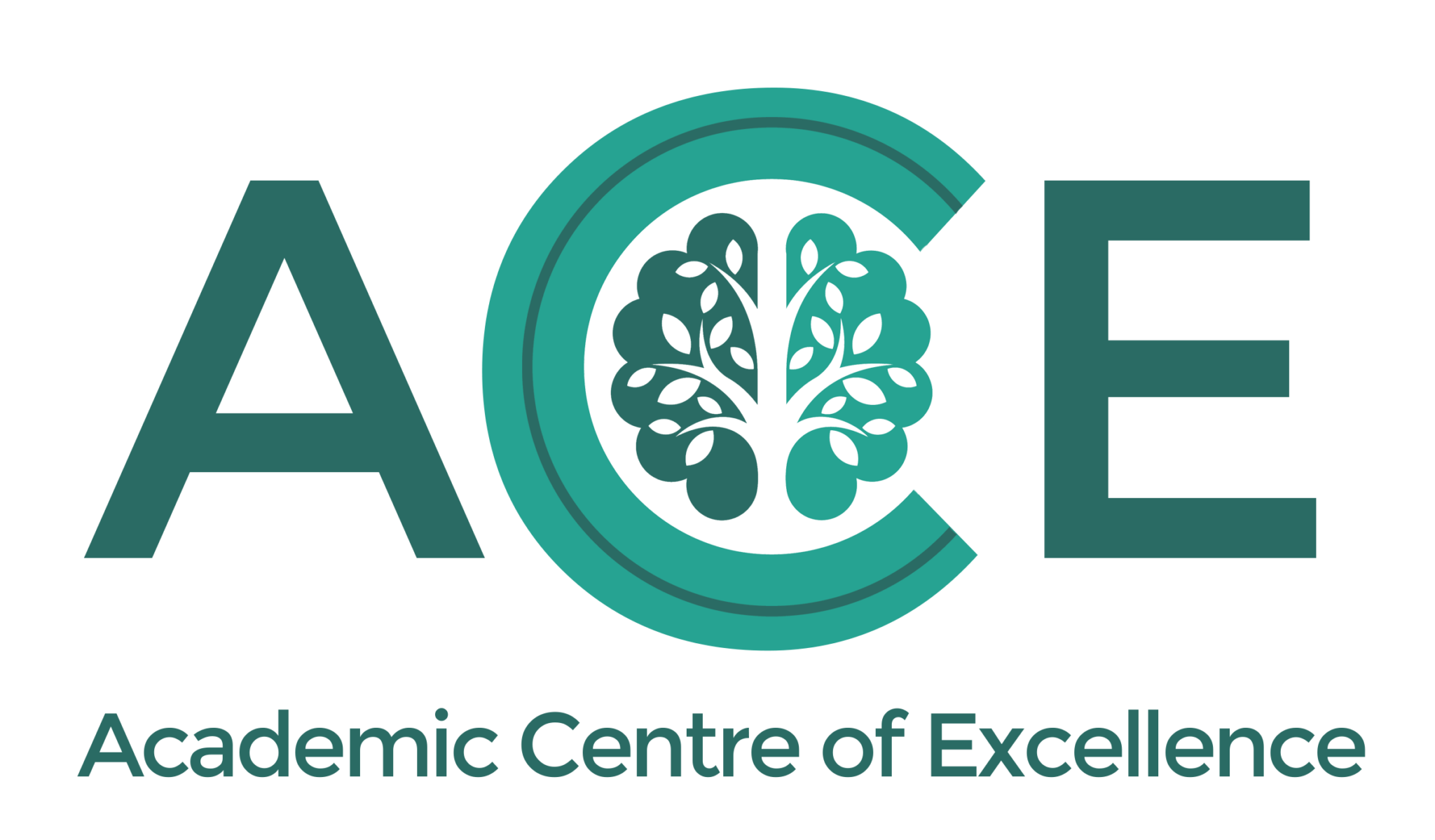 Ace Business School - Academic Centre of Excellence